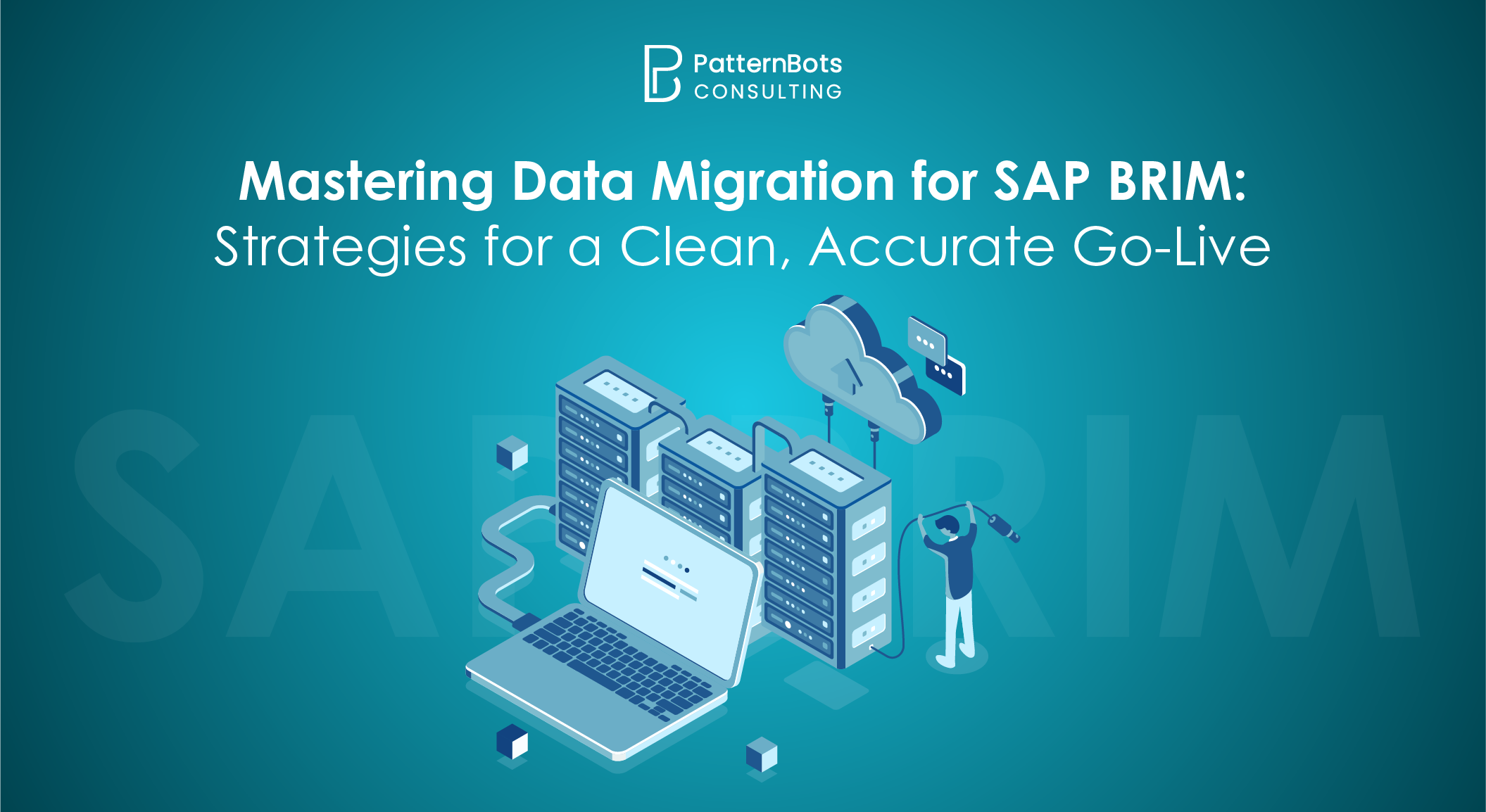 Best Practices for Efficient SAP BRIM Data Migration